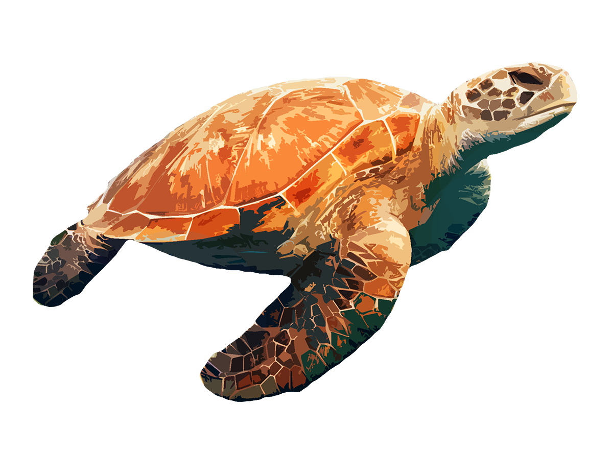 Home Page [lim2617.github.io]